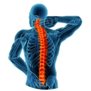 Top Spine Specialist in Mumbai, India | Synapse Spine